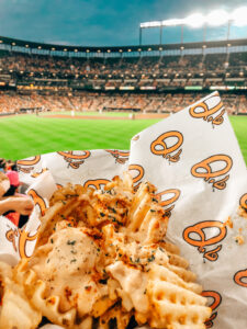 Baltimore Orioles Baseball Stadium: Oriole Park at Camden Yards - Swift ...